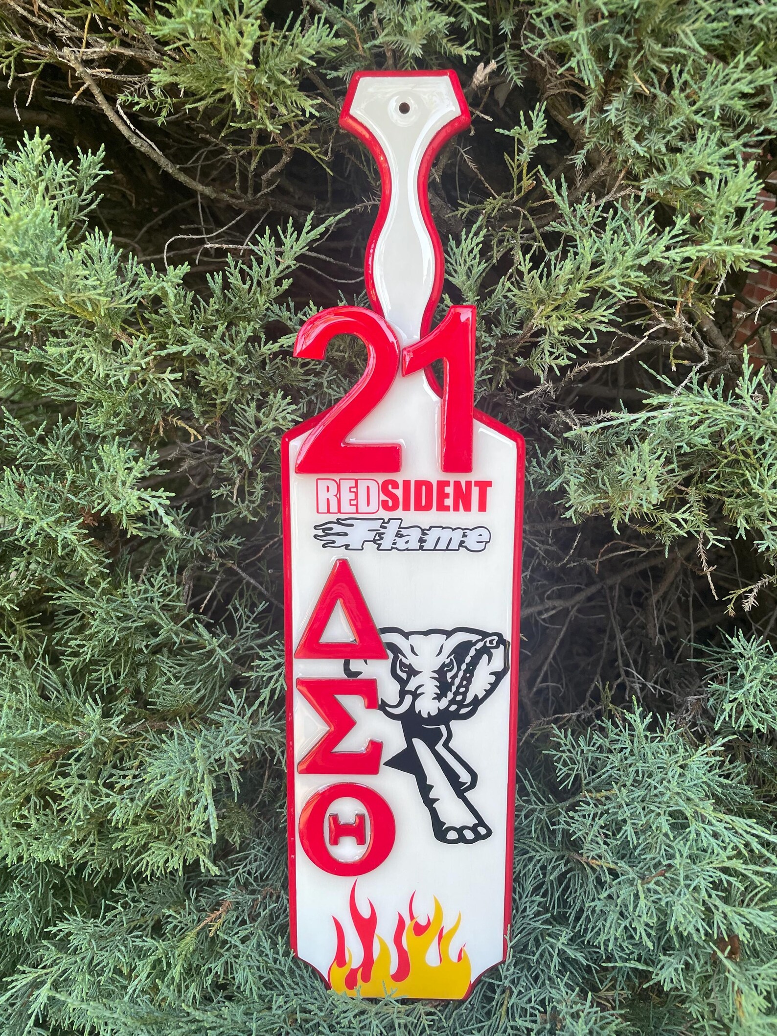 Custom Greek Paddle Alpha Kappa Alpha Delta Sigma Theta Zeta Phi Beta ...