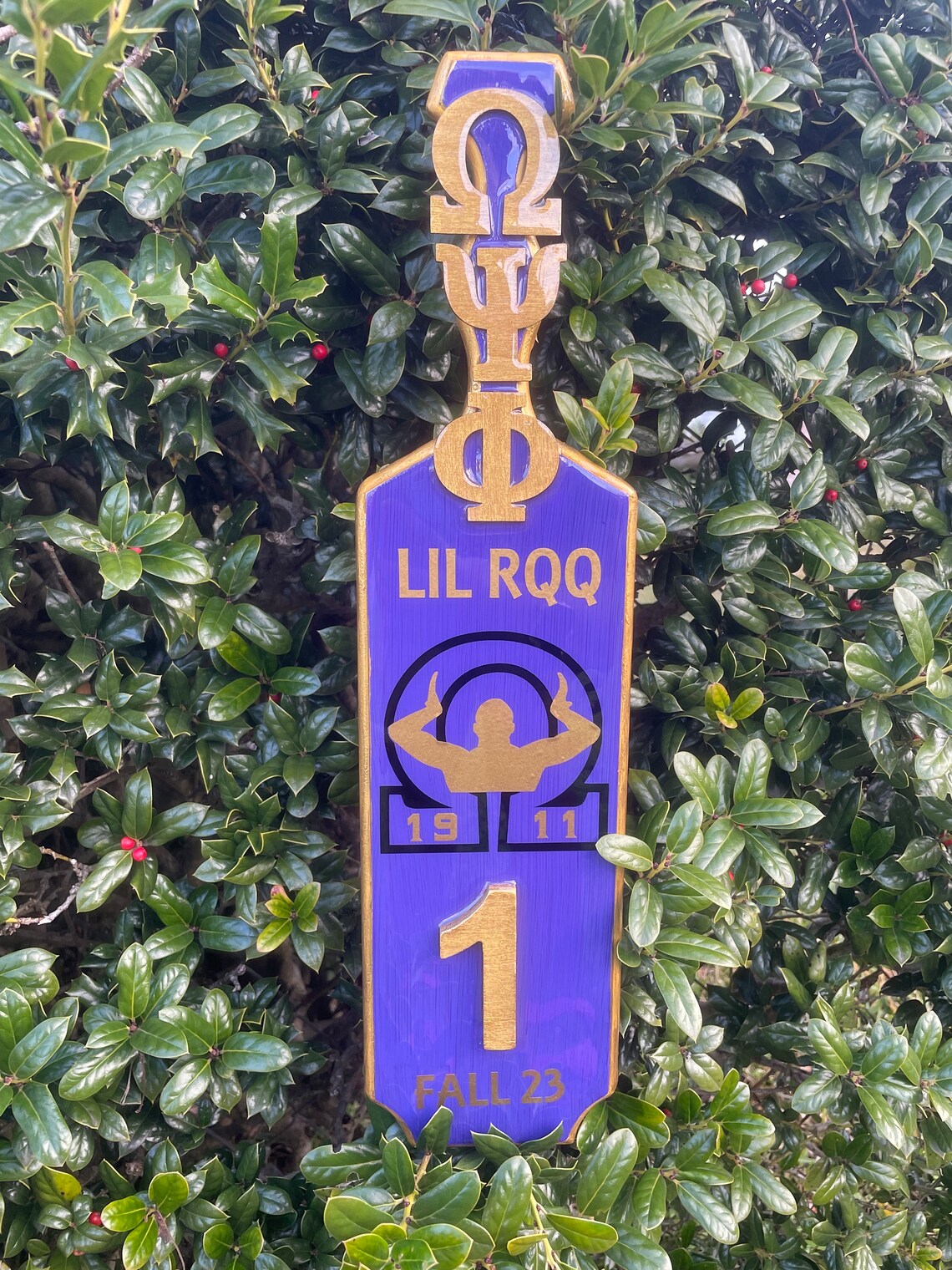Custom Greek Paddle Alpha Phi Alpha, Alpha Kappa Alpha, Delta Sigma ...