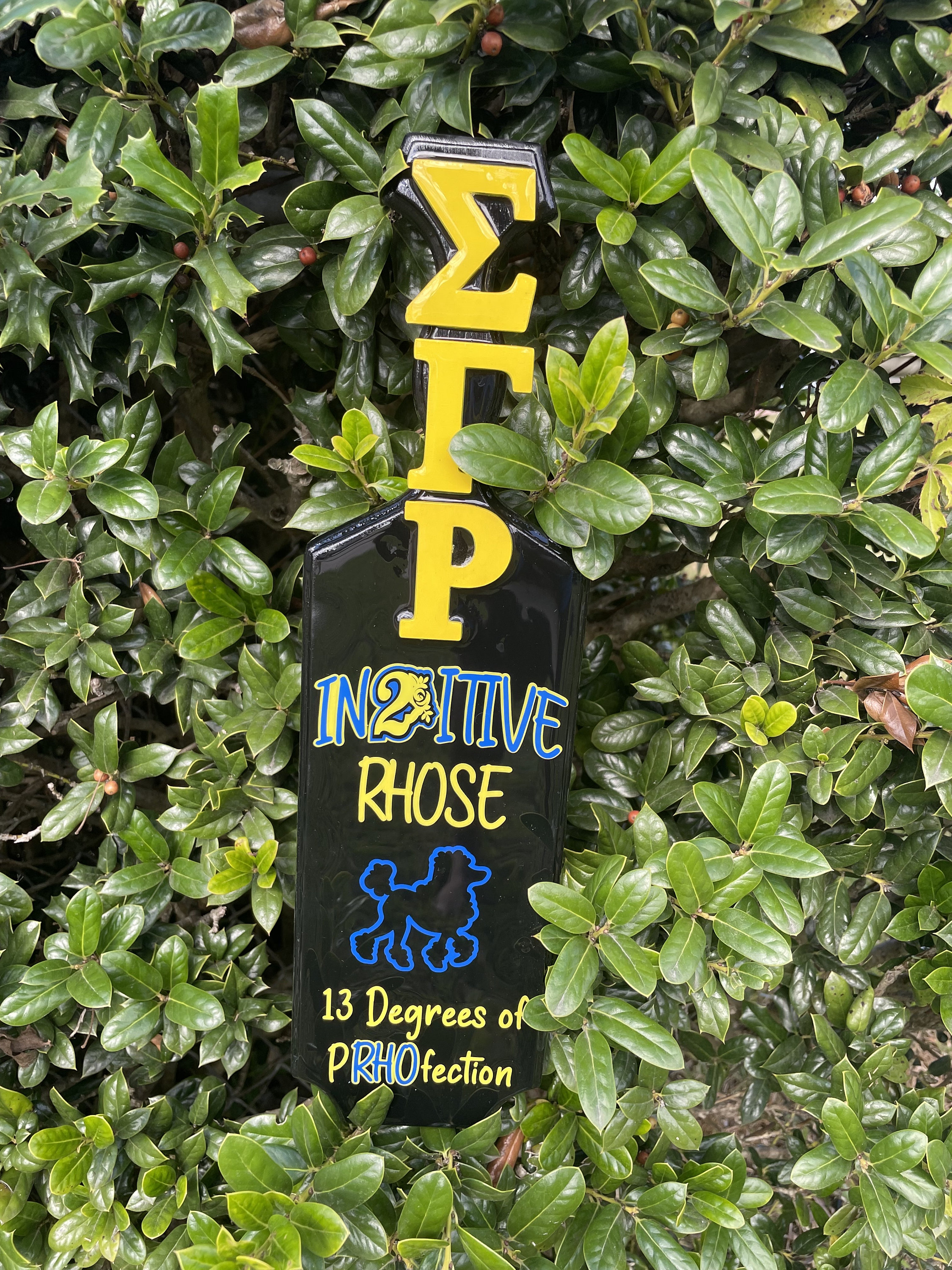 Custom Greek Paddle Alpha Phi Alpha, Alpha Kappa Alpha, Delta Sigma ...