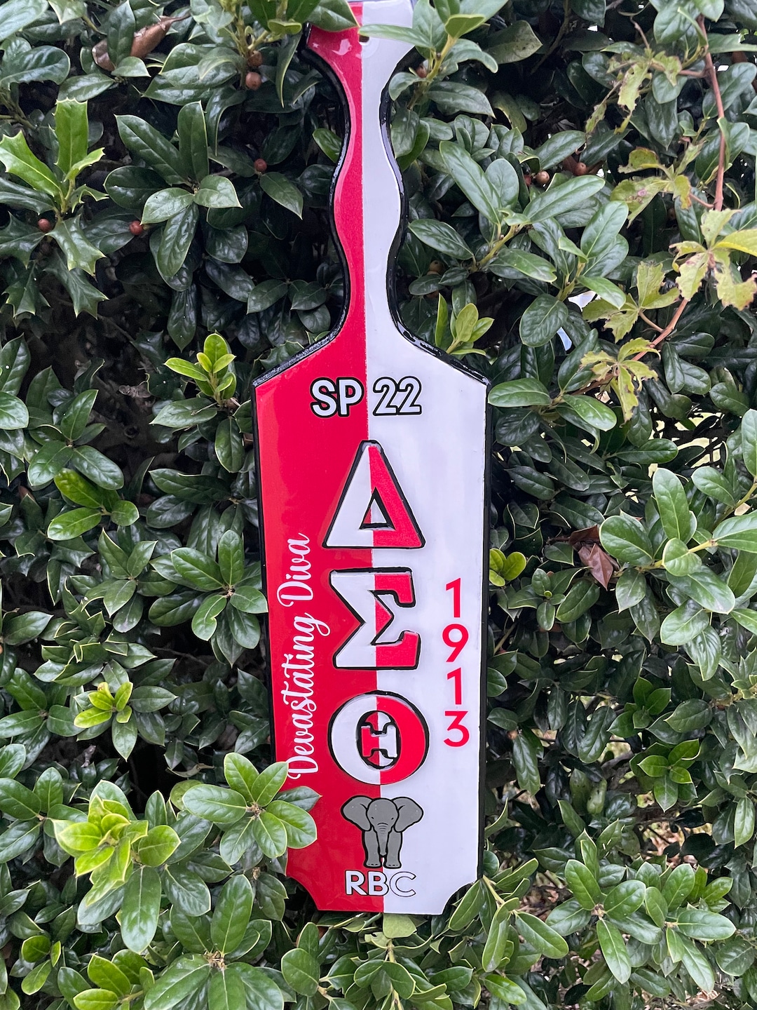 Custom Greek Paddle Delta Sigma Theta Zeta Phi Beta Sigma Gamma Rho ...