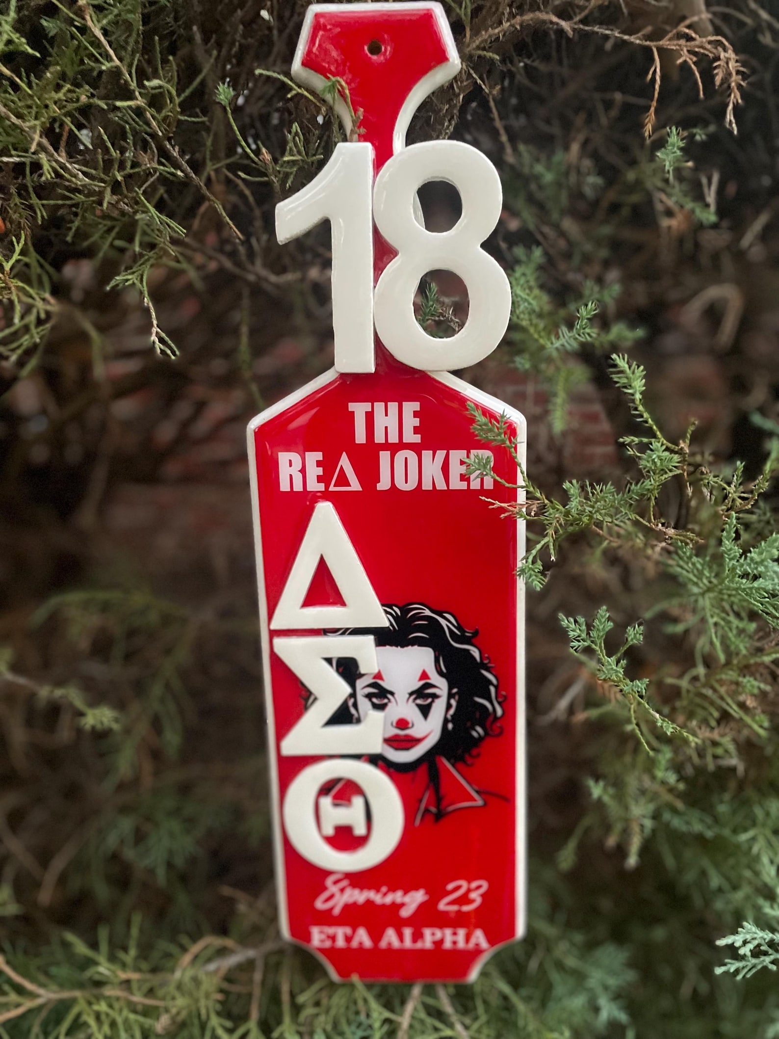 Custom Greek Paddle Alpha Kappa Alpha Delta Sigma Theta Zeta Phi Beta ...