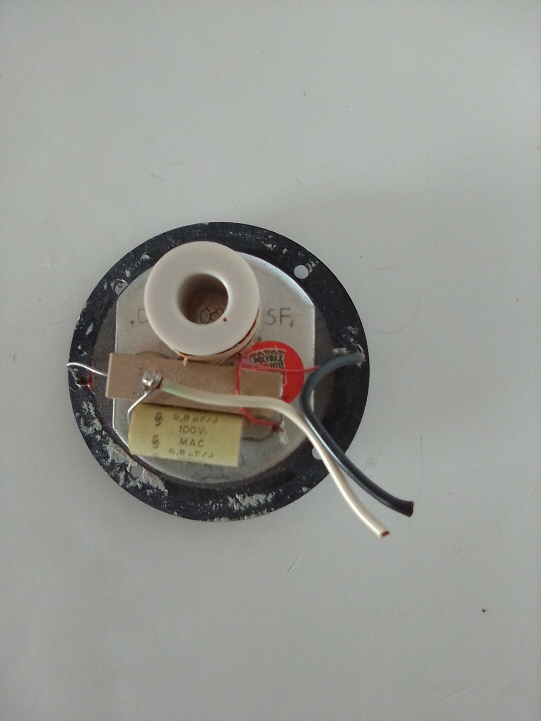 Polydax Domed Tweeter - Etsy