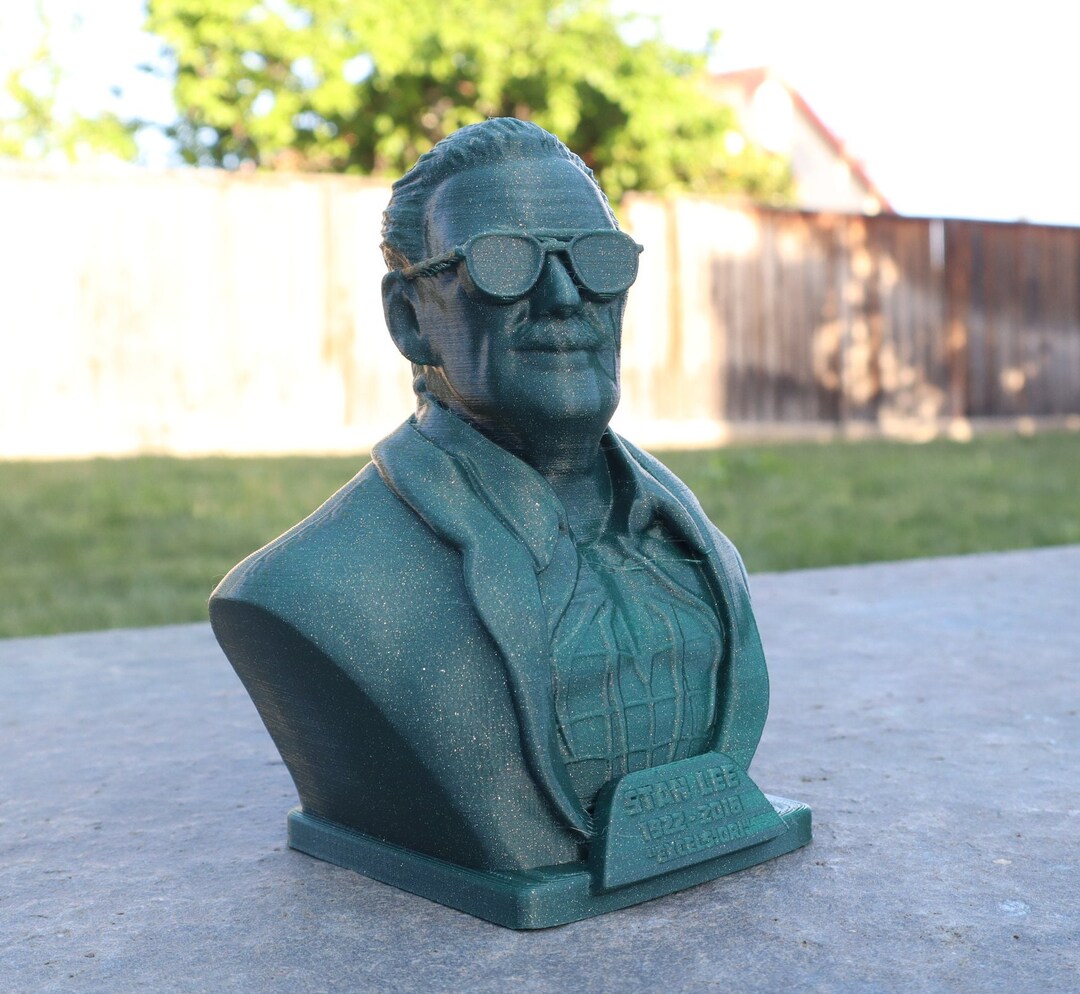 Stan Lee Memorial, Plant Based, Mothers Day Gift, Gift for Men, Gift ...