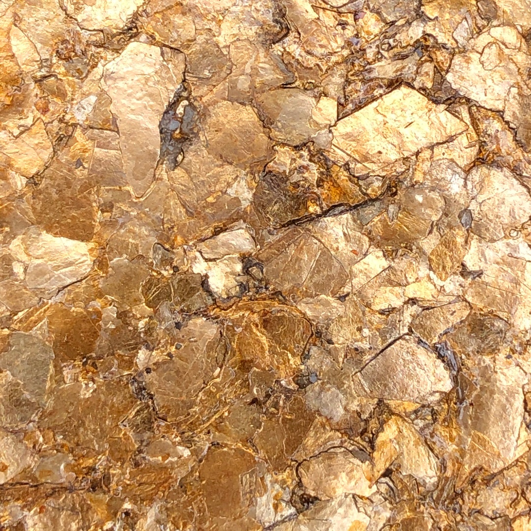 Fresco® Mica Venetian Plaster - Gold - Large Flake, Interior Decor ...