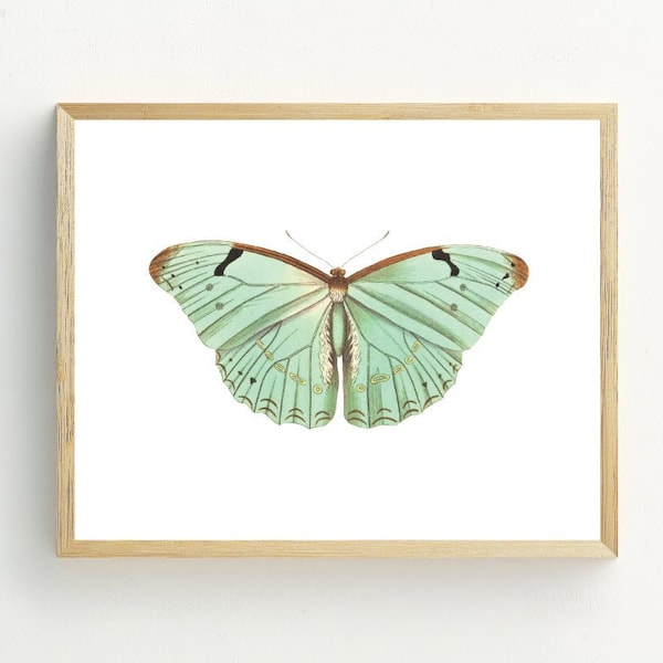 Butterfly Print - Etsy
