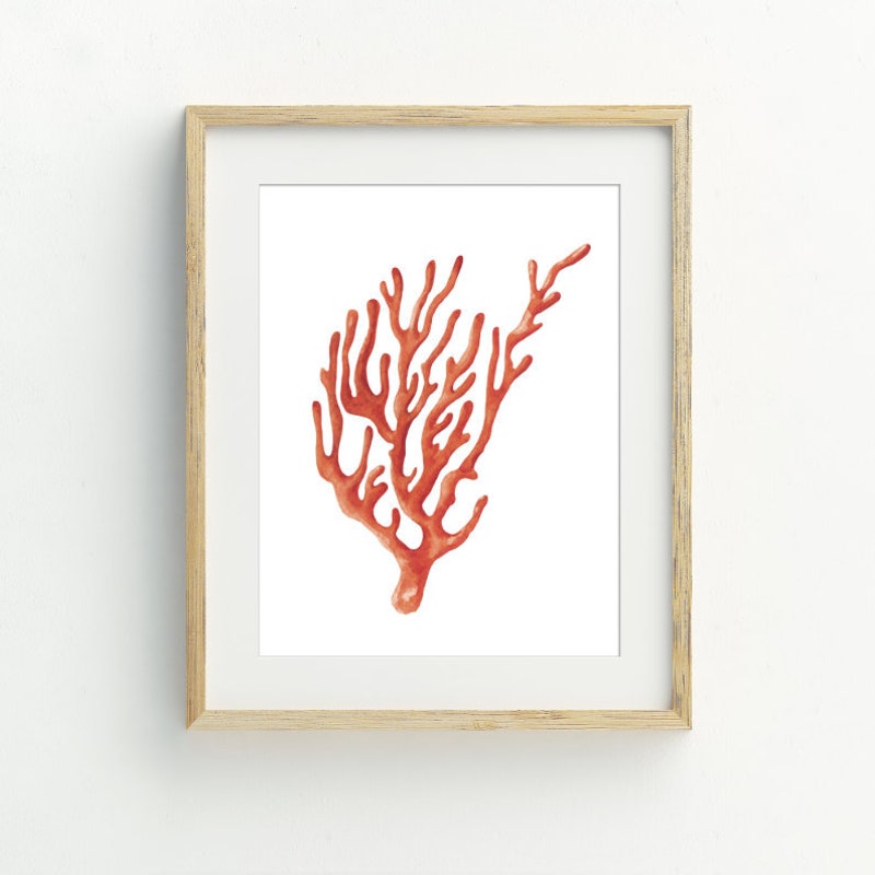 Red Coral Print - Etsy