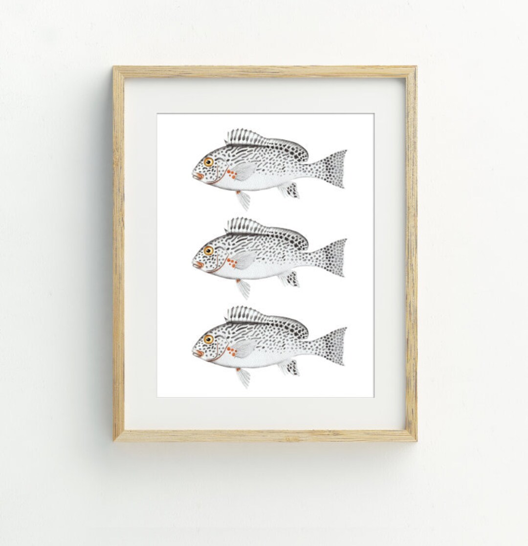 Fish Print, Fish Printable, Coastal Decor, Grey Fish Wall Art, Nautical ...