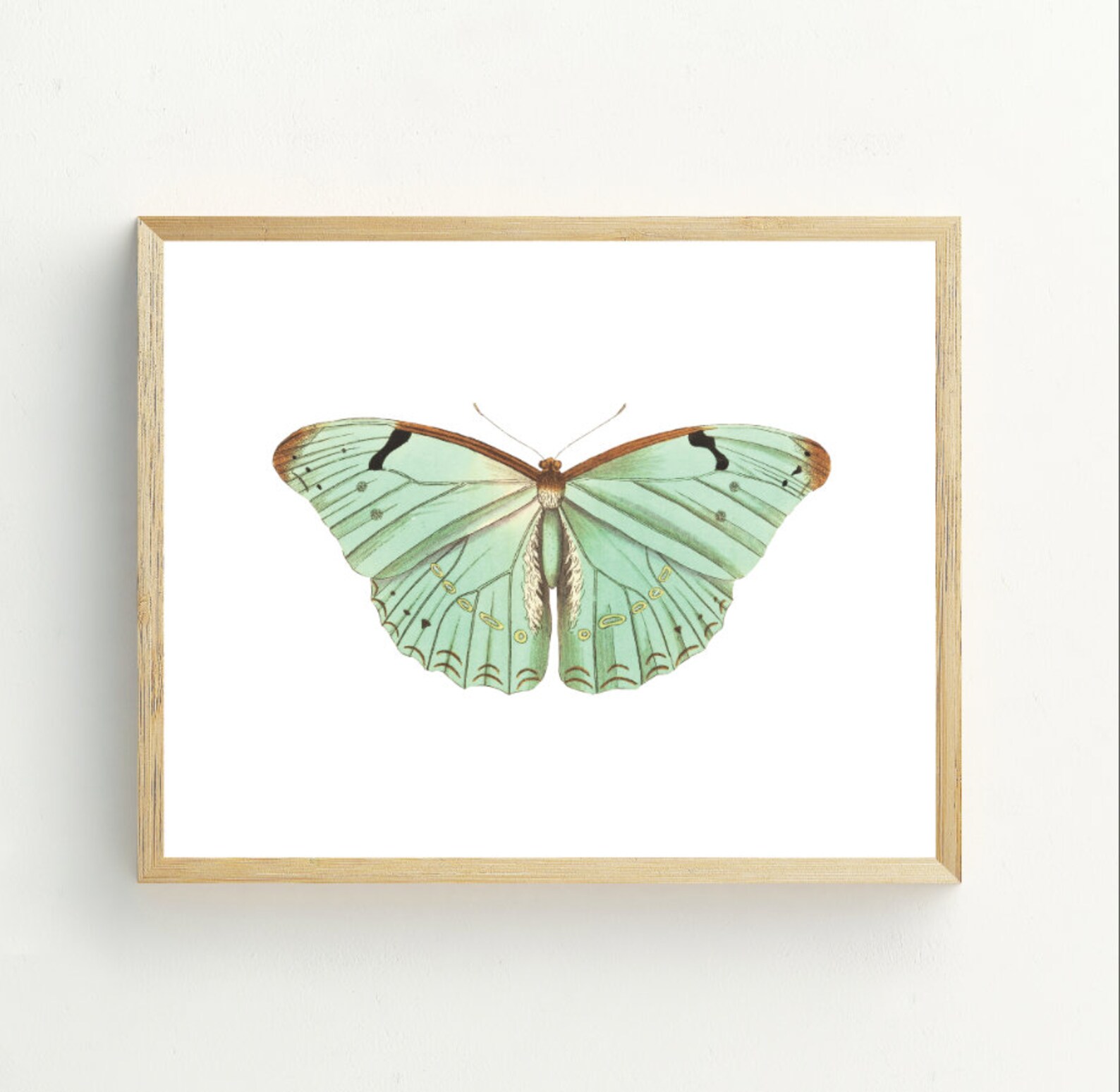 Butterfly Printable Butterfly Wall Art Print Minimalist - Etsy