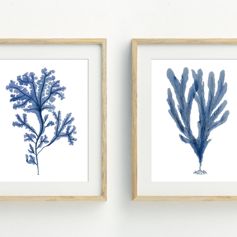 Blue Seaweed Print - Etsy