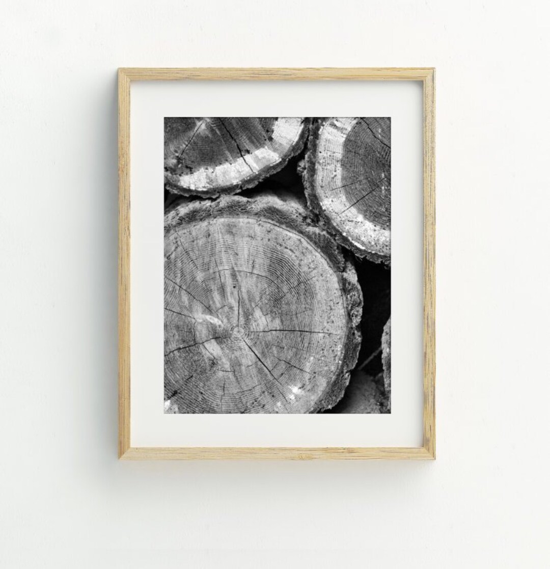 Tree Rings Photography Printable Wall Art, Wood Slice Art Print, Tree ...