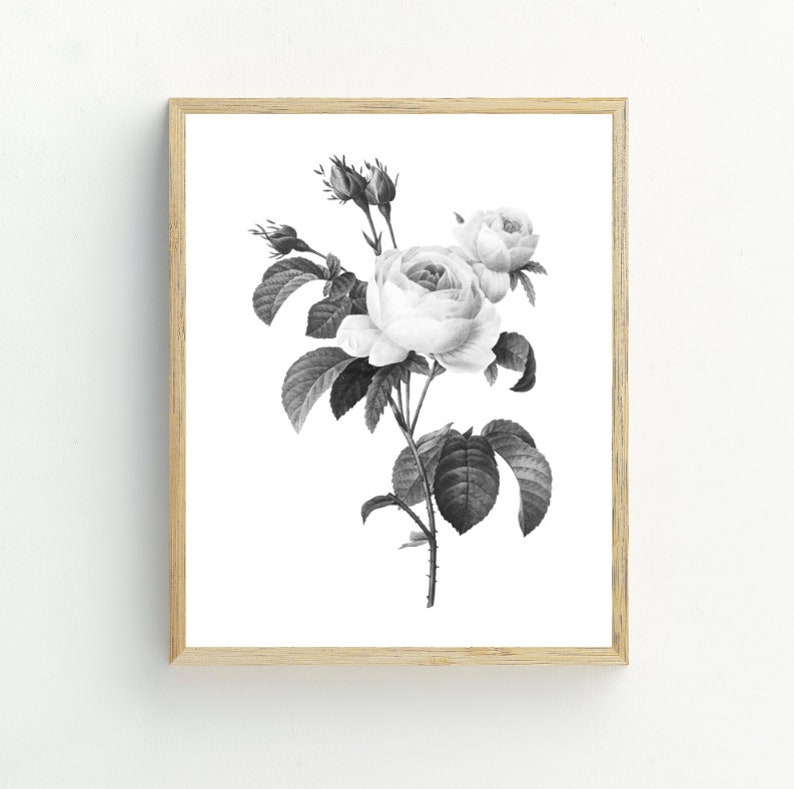 Rose Wall Art Flower Wall Decor Monochrome Roses Printable - Etsy