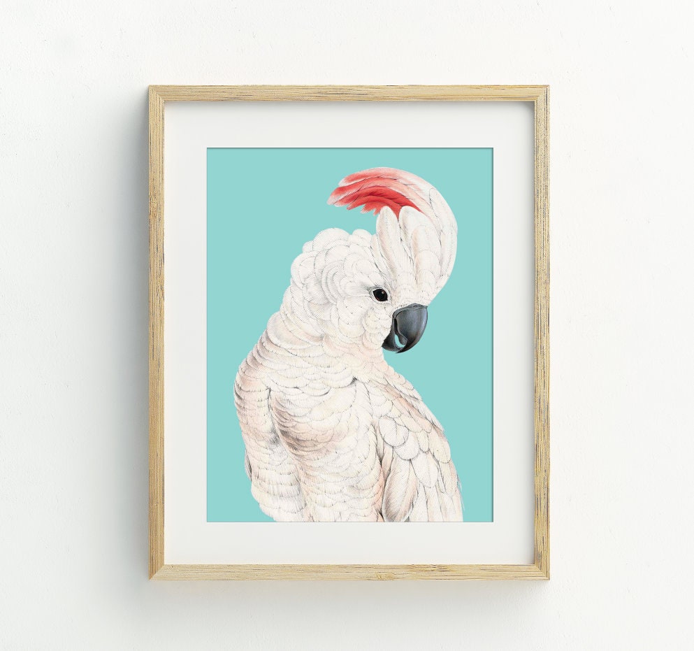 Cockatoo Print Bird Wall Art Cockatoo Printable Digital - Etsy