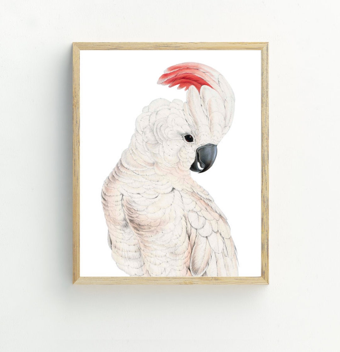 Cockatoo Print, Bird Wall Art, Cockatoo Printable Digital Download ...