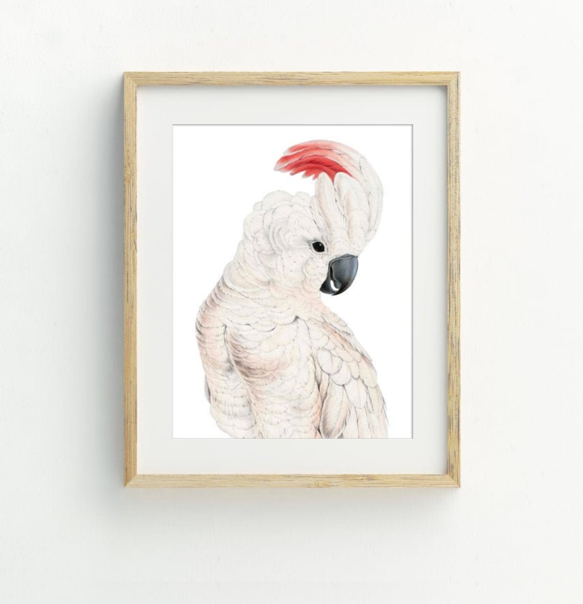 Cockatoo Print, Bird Wall Art, Cockatoo Printable Digital Download ...