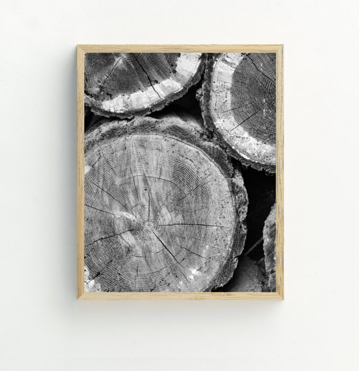 Tree Rings Photography Printable Wall Art, Wood Slice Art Print, Tree ...