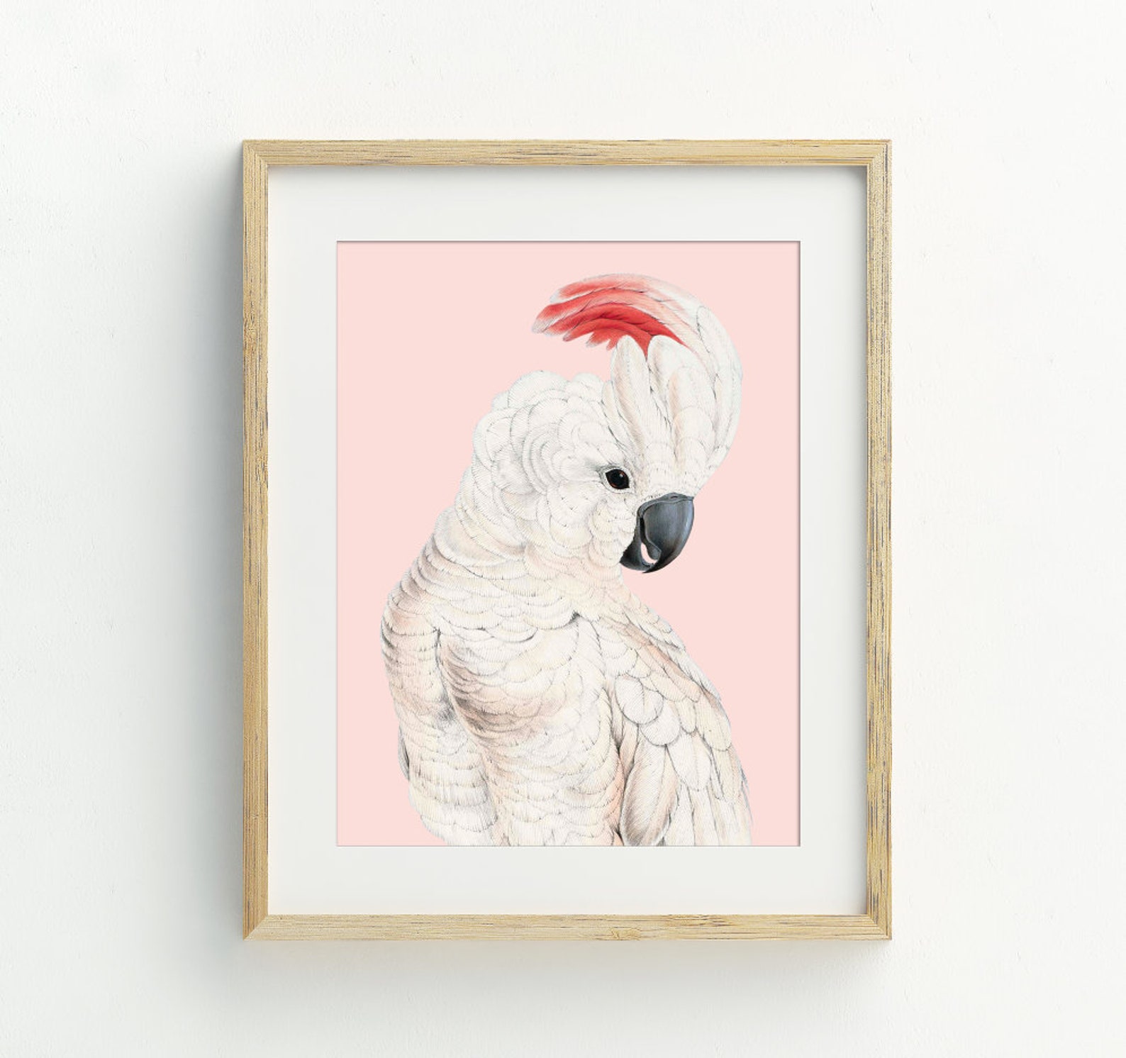 Cockatoo Print Bird Wall Art Cockatoo Printable Digital Etsy