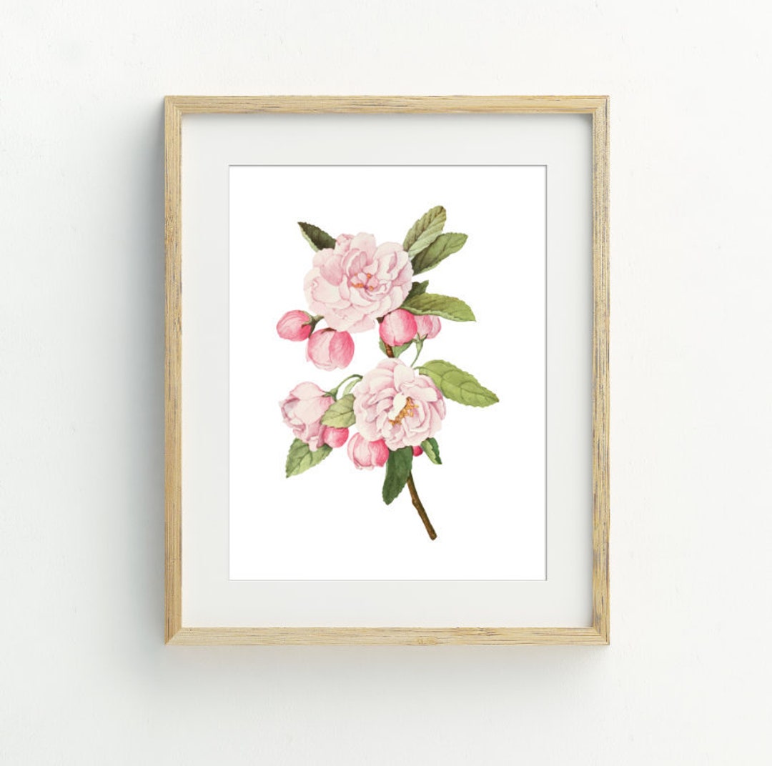 Rose Print, Pink Rose Wall Art, Flower Wall Decor, Vintage Floral Print ...