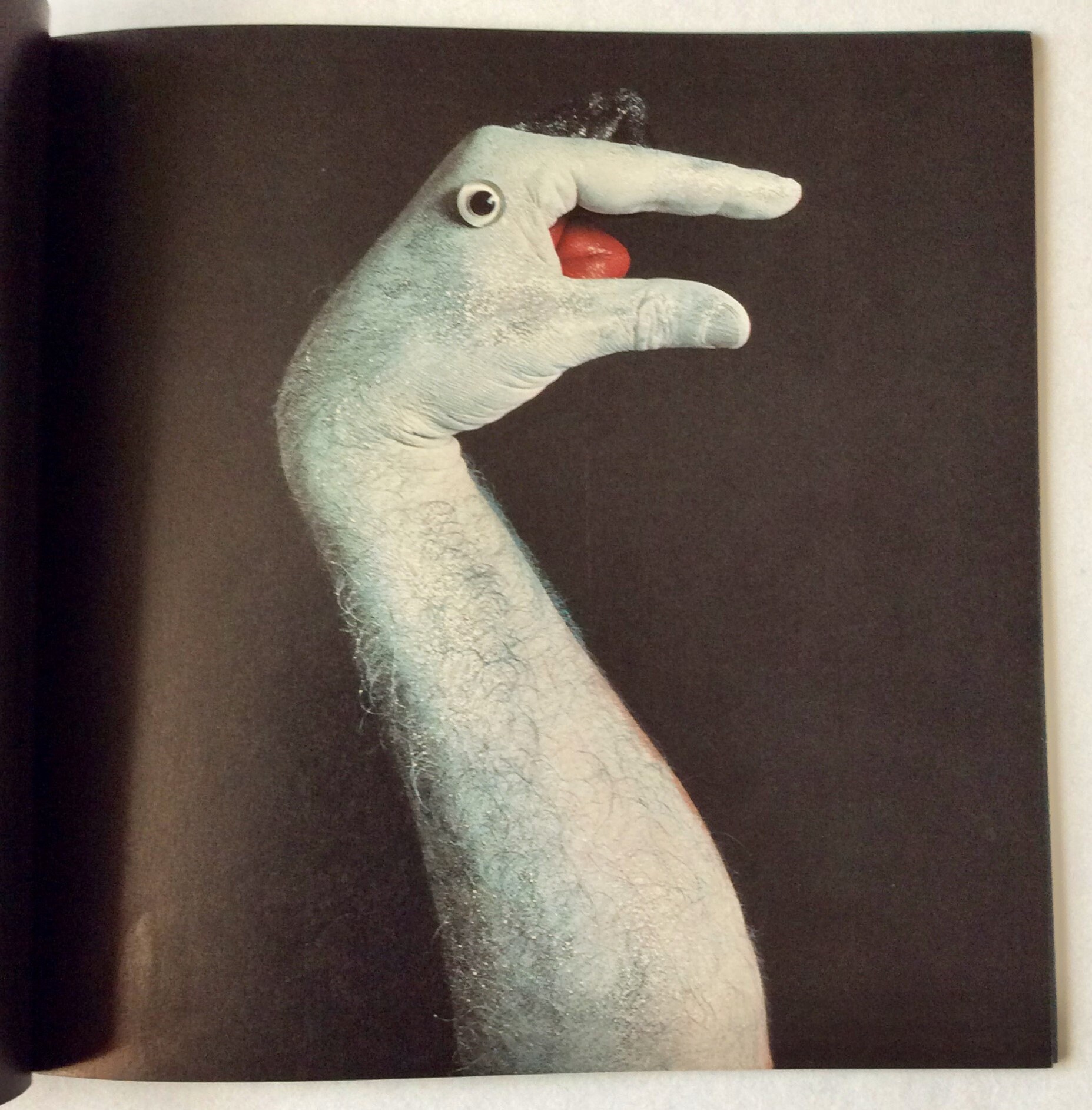 Hanimals, by Mario Mariotti, Green Tiger Press, 1982 - Etsy