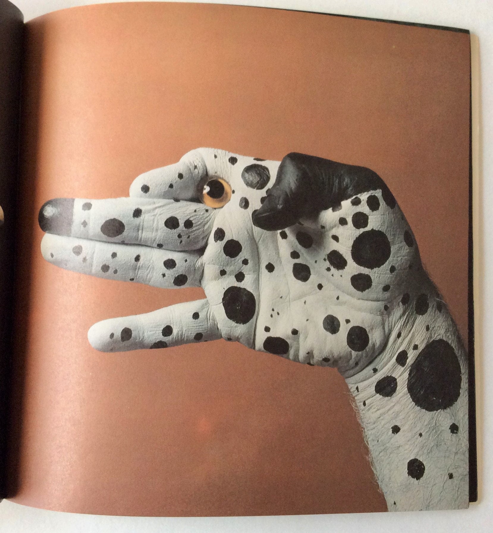 Hanimals, by Mario Mariotti, Green Tiger Press, 1982 - Etsy
