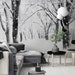Snow Trees Winter Trees Wallpaper Wall Mural Birch With Snow - Etsy