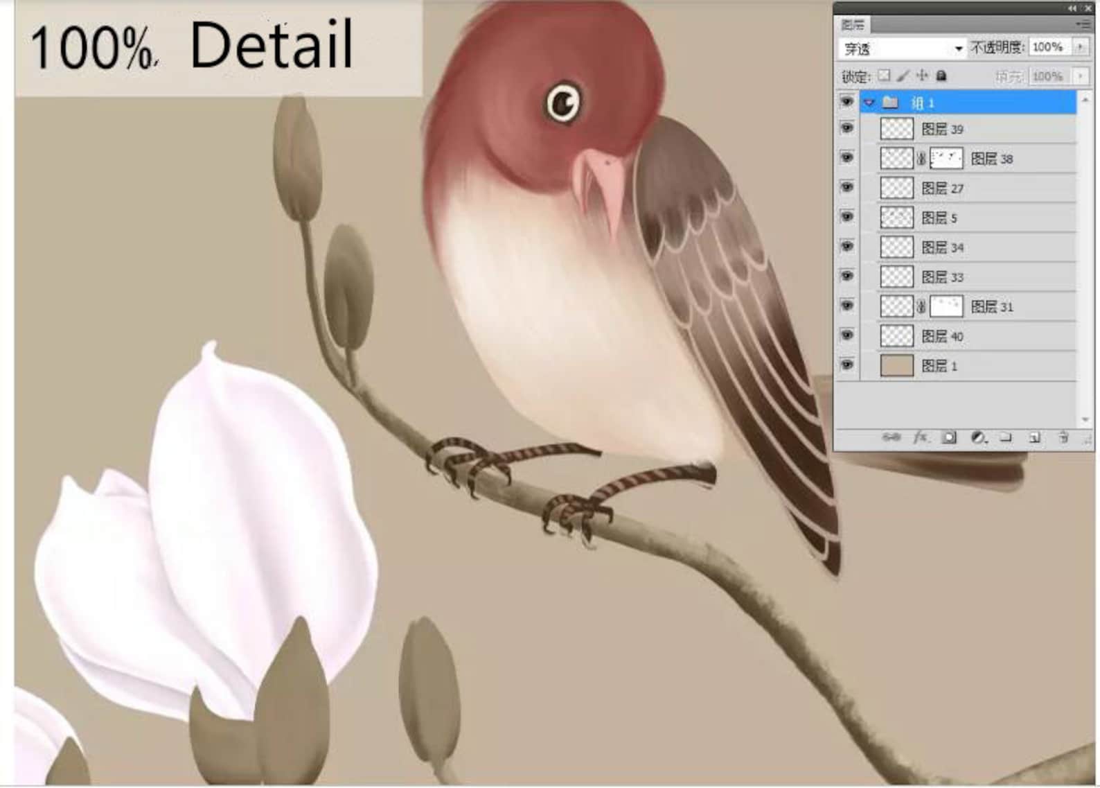 Fine Brushwork Magnolia Blossom Chinoiserie Wallpaper Wall | Etsy