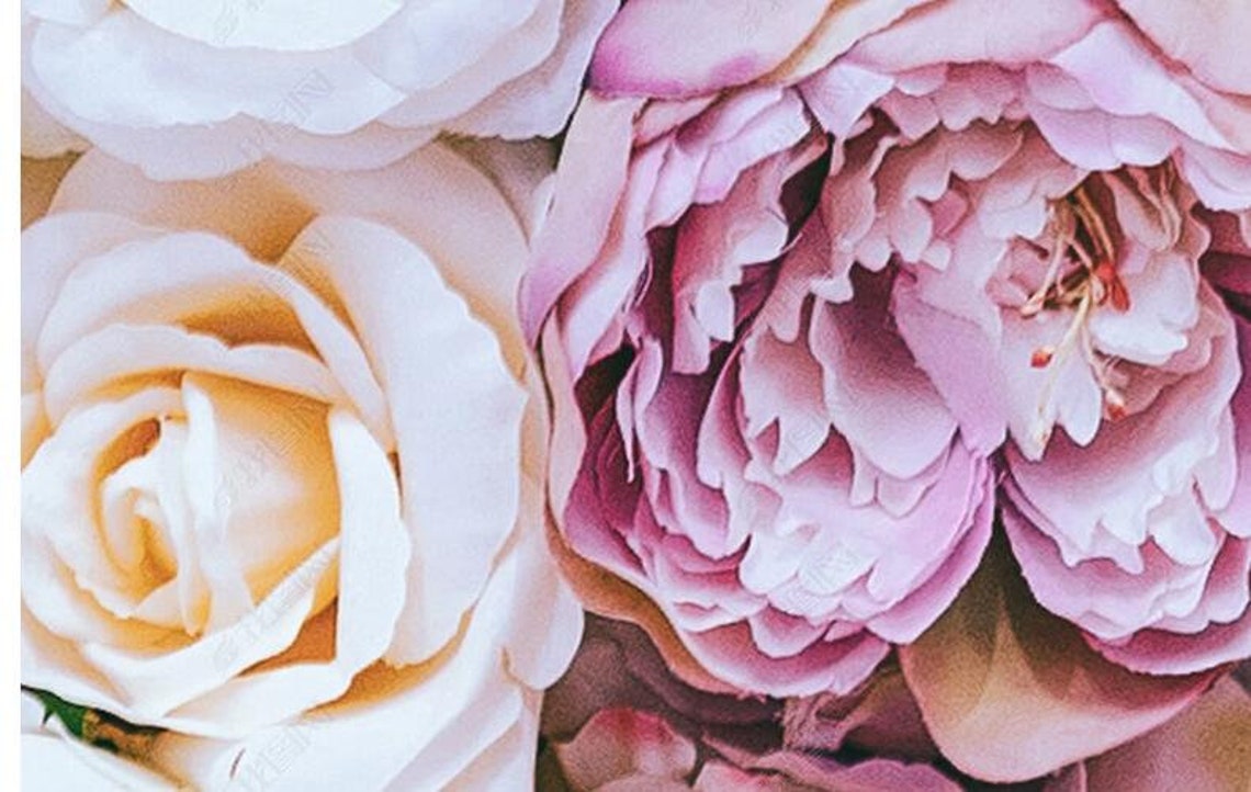 Roses Flowers Floral Wallpaper Wall Mural Abstract Roses - Etsy