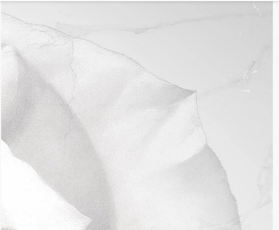 Modern Jazz White Marble White Rose Flower Photo Wallpaper - Etsy