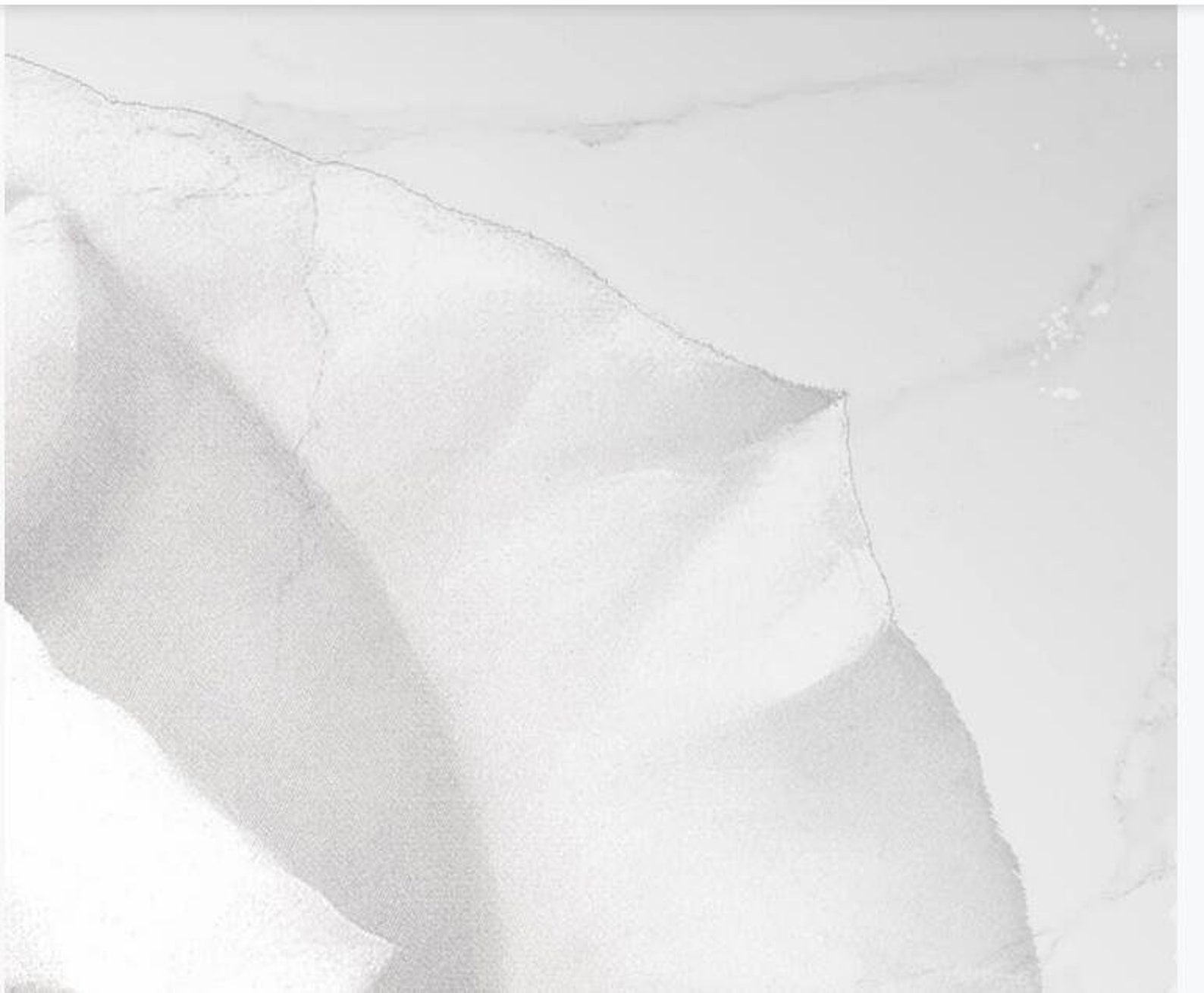 Modern Jazz White Marble White Rose Flower Photo Wallpaper Living Room ...