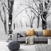 Snow Trees Winter Trees Wallpaper Wall Mural Birch With Snow - Etsy