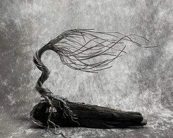 Windblown Tree Art - Etsy