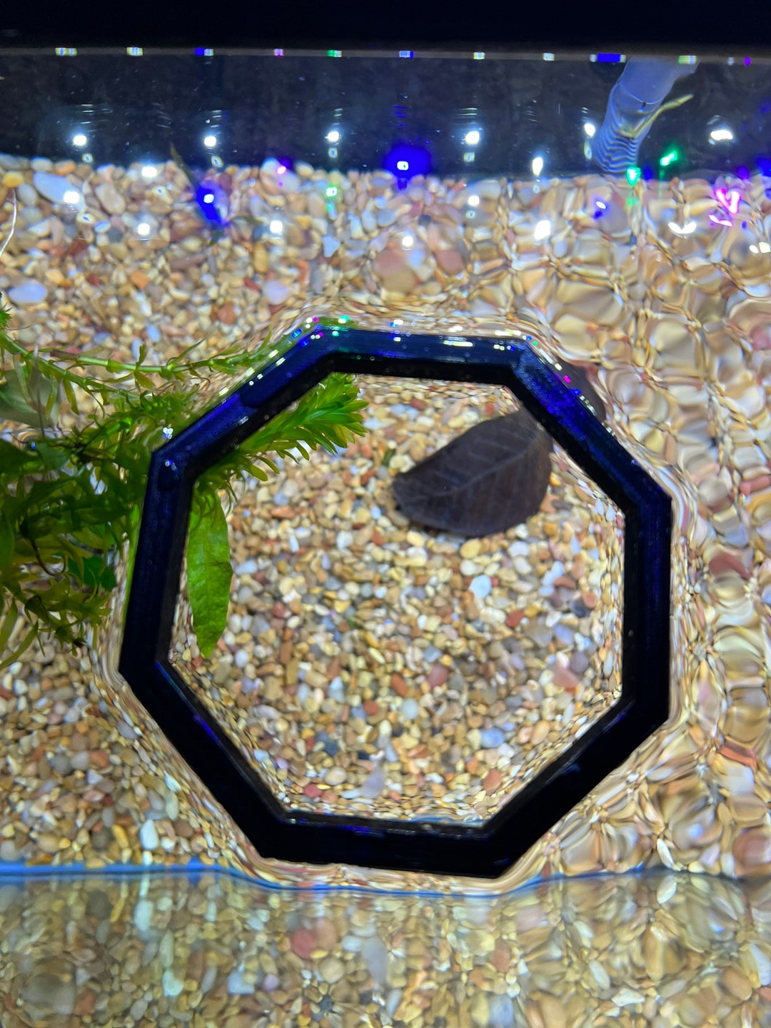 7 Inch Floating Fish Feeder Ring Octagon - Etsy