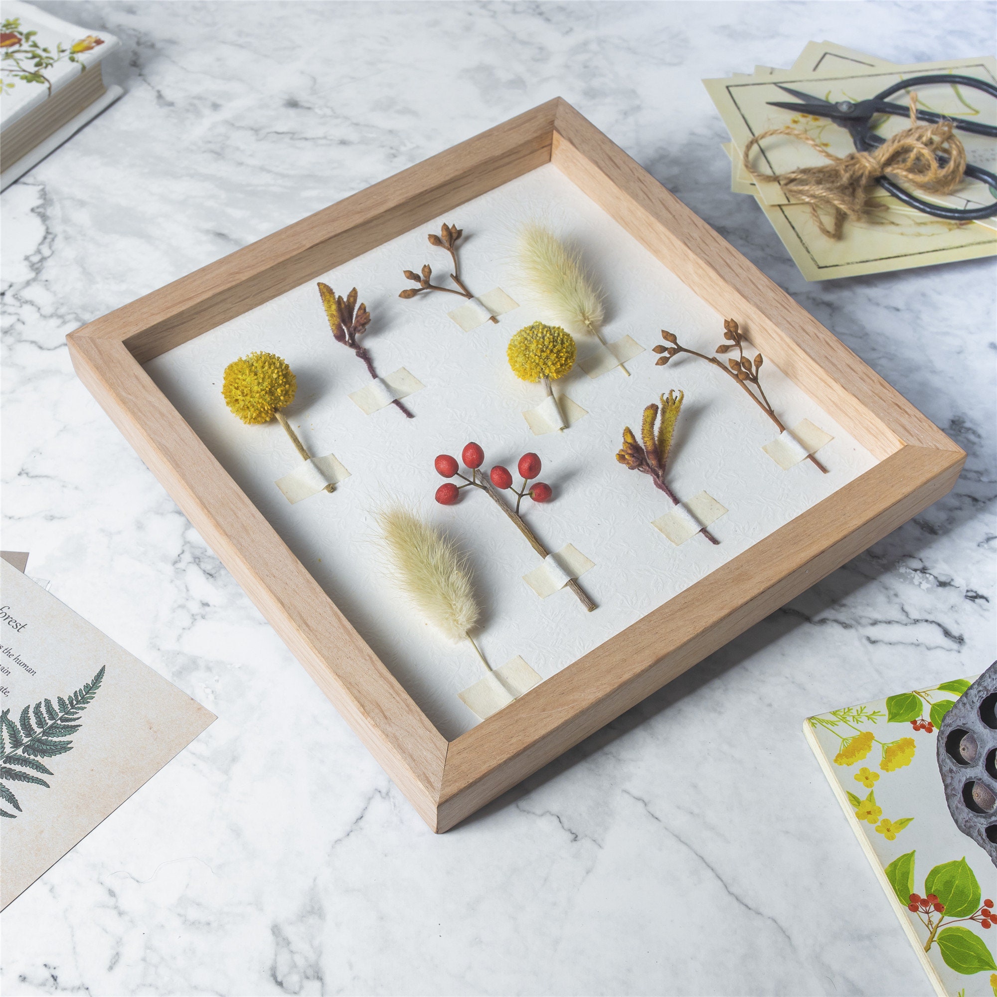 Customizable Size Natural Alder Wood Specimen Holder Frame - Etsy