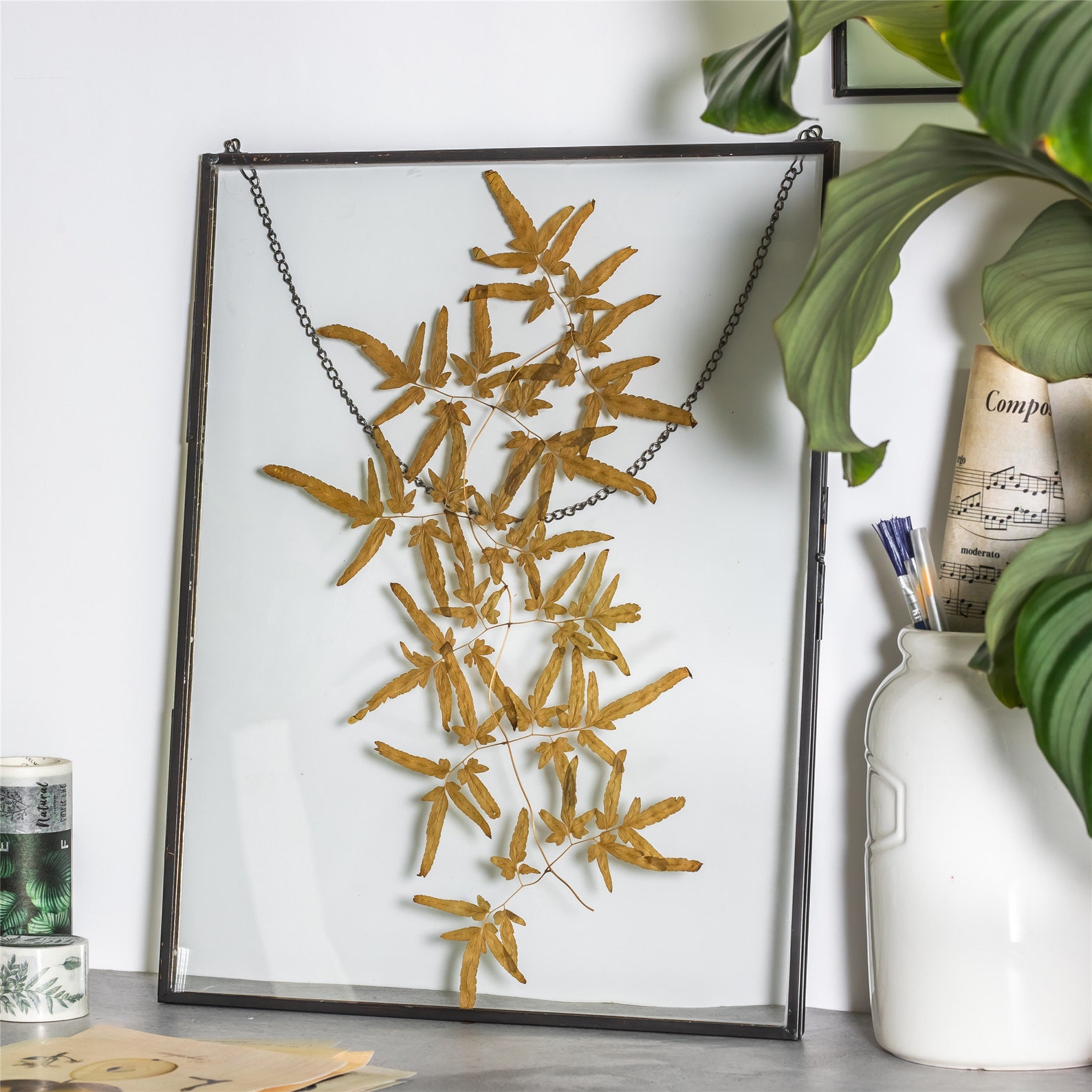 I've been working on this dried leaf display for the past two years and ...