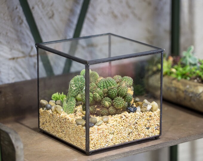 NCYP Vintage Square Geometric Terrarium Tin Sealed Planter - Etsy