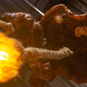 NCYP Handmade Rustic Natural Sanderwood Rope Driftwood Celing - Etsy