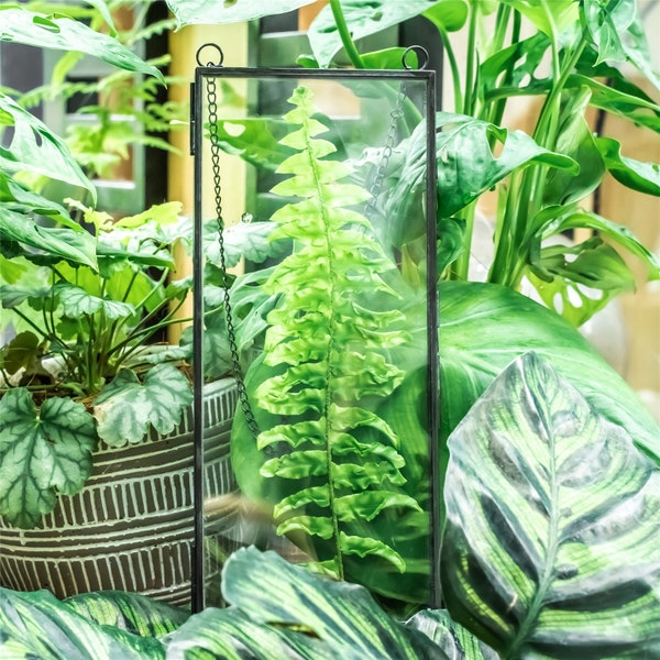 Pressed Plant Frame - Etsy