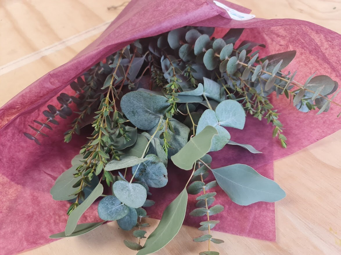 Fresh Eucalyptus Eucalyptus Bundle Shower Eucalyptus - Etsy UK