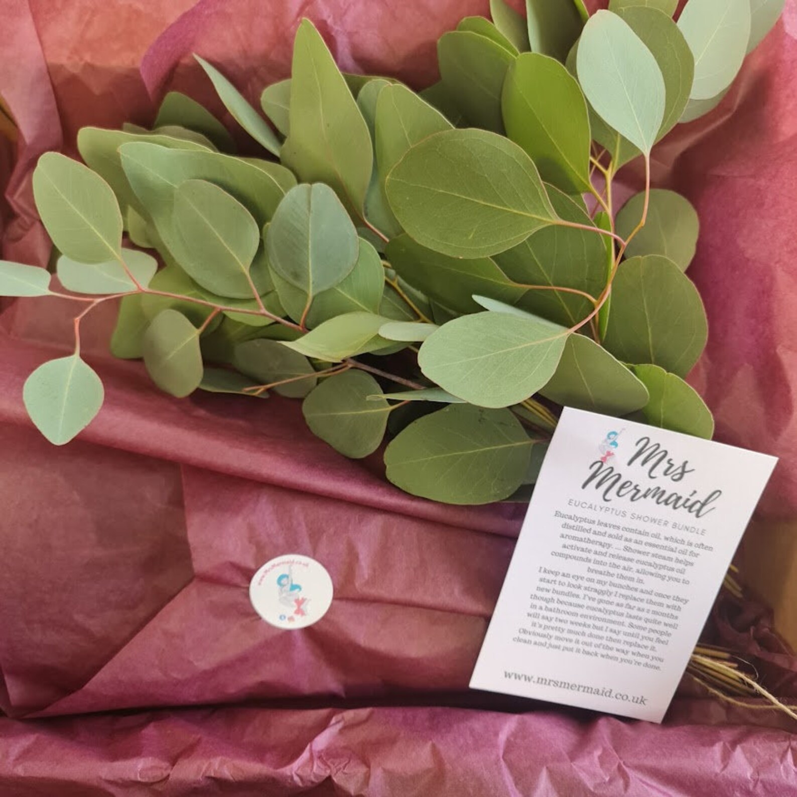 Fresh Eucalyptus Eucalyptus Bundle Shower Eucalyptus - Etsy UK