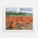 Watercolor Pumpkin Patch Wall Art | Fall Pumpkin Landscape Painting ...
