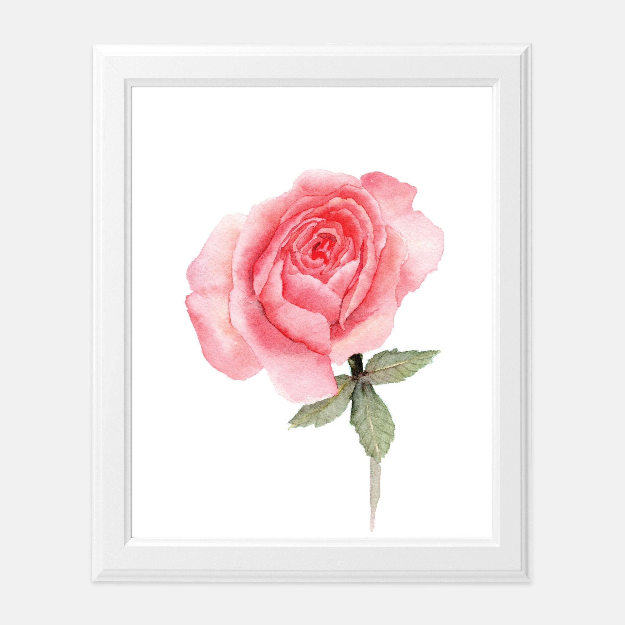 Pink Rose Watercolor Art Print | Flower Art | Botanical Art Print ...