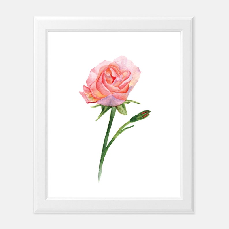 Red Watercolor English Rose Art Print Set | Floral Art Print | Vintage ...
