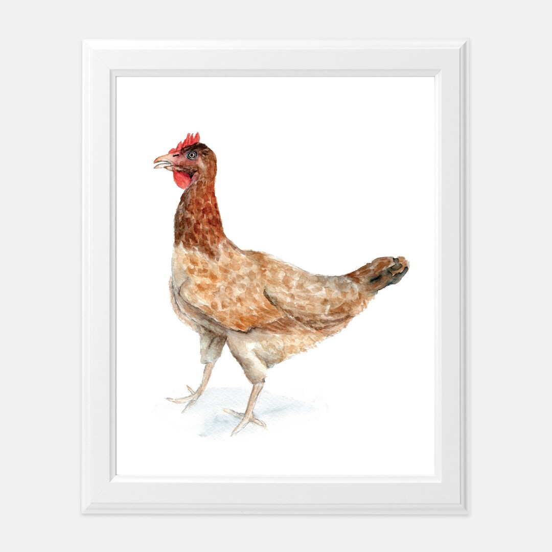 Watercolor Chicken Art Print | Farmhouse Wall Art | Minimalist Wall ...