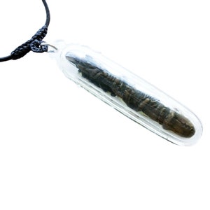 Rare Dragon Palad Khik of LP Sakon, Nong-krub Temple, Magic Love Luck ...