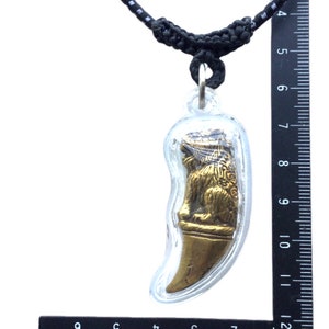 Rare Tiger Tooth Fang by Lp Tim, Laharnrai Temple, Year 1974, Magic ...
