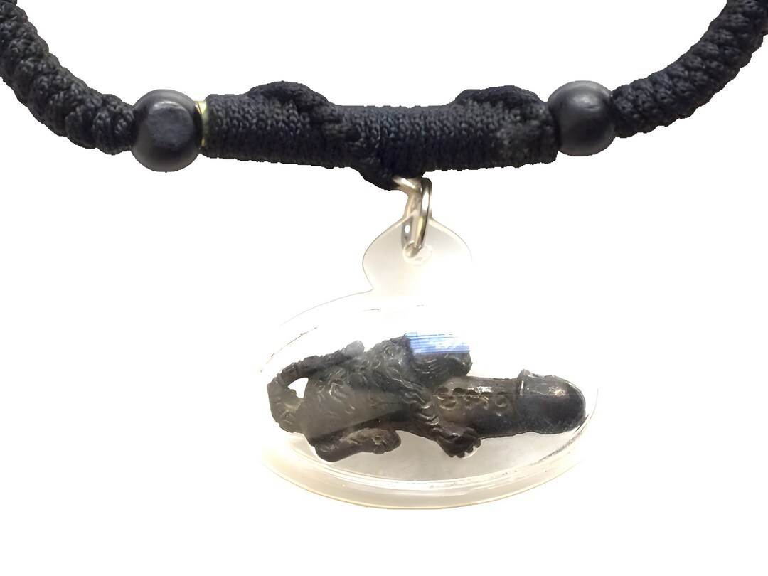 Rare Tiger Ride on Paladkhik Magic Pendant by Lp Phern / Good Luck in ...