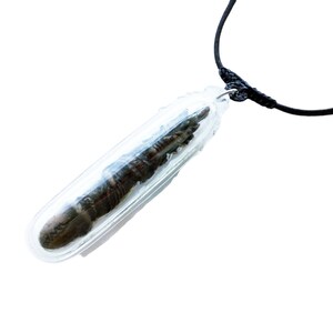 Rare Dragon Palad Khik of LP Sakon, Nong-krub Temple, Magic Love Luck ...