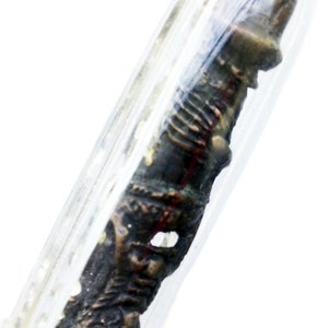 Rare Dragon Palad Khik of LP Sakon, Nong-krub Temple, Magic Love Luck ...