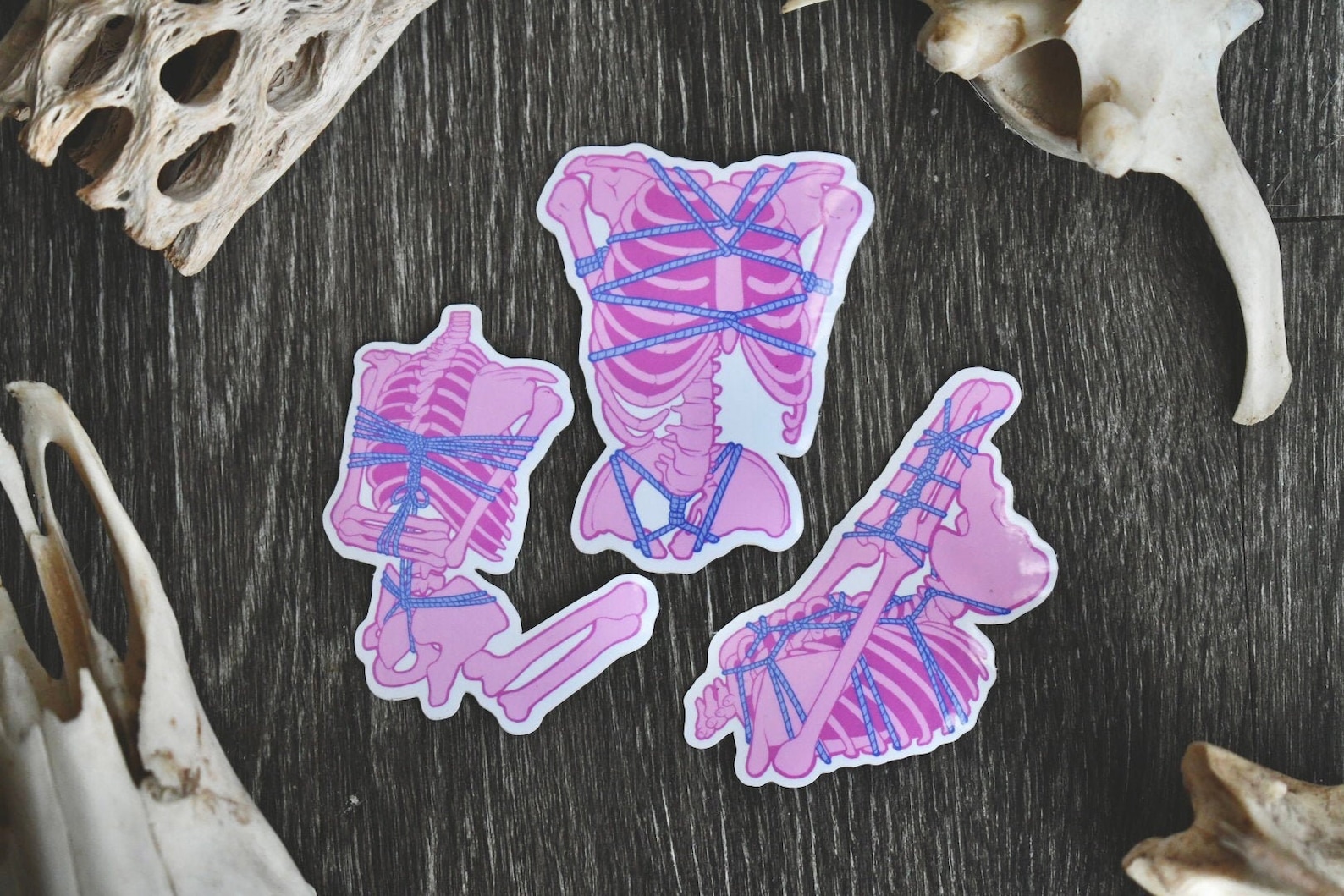 Shibari Skeleton Vinyl Bondage Sticker Set Etsy