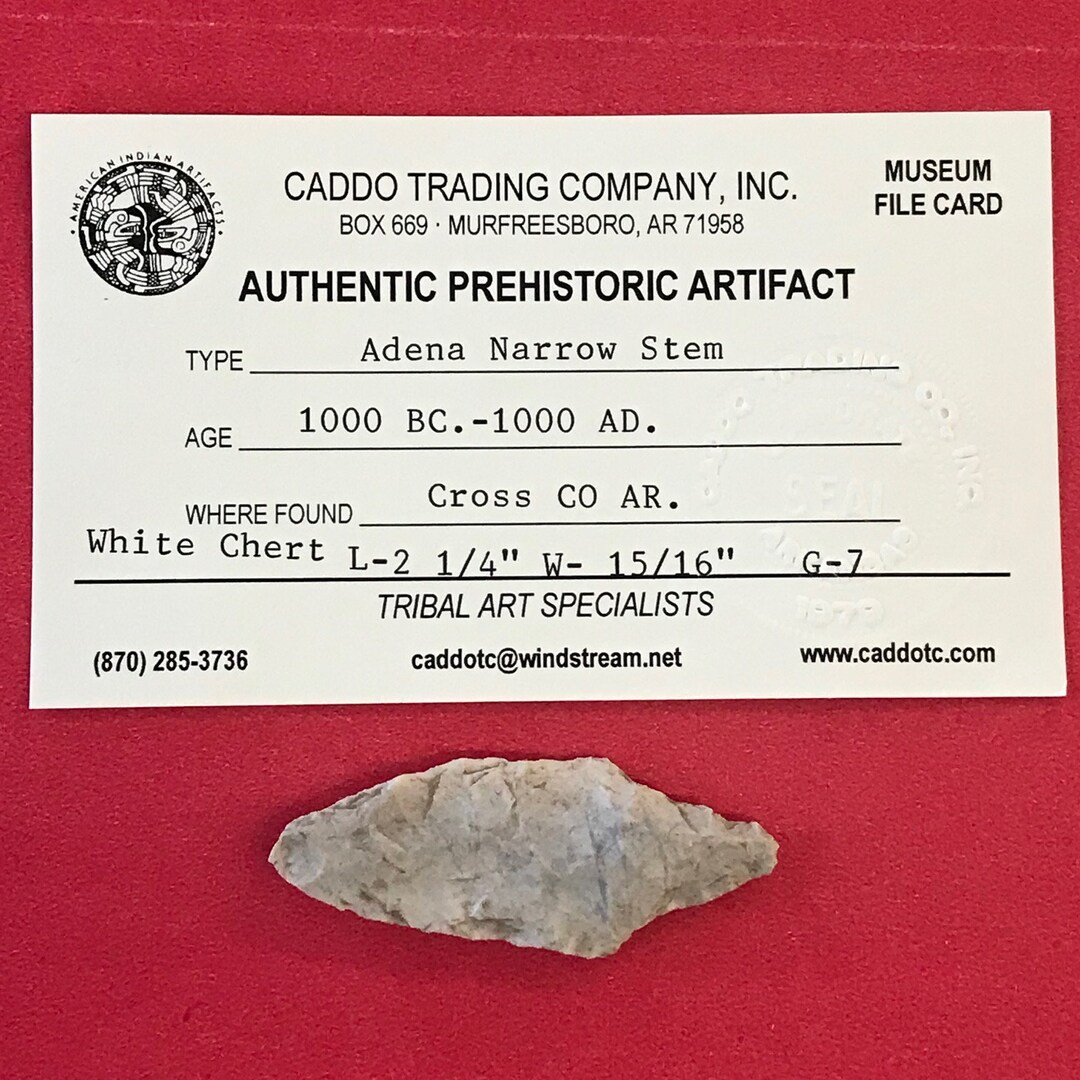 6461, Adena Narrow Stem, Arrowhead, Indian, Indian Artifact, Arkansas ...