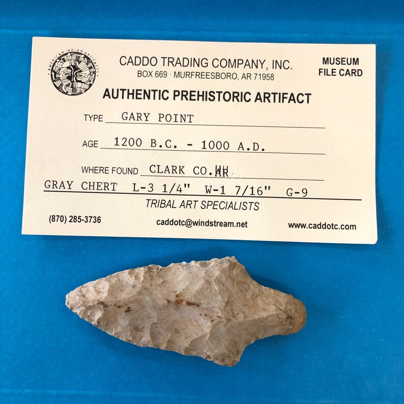 7209 Gary Point Indian Arrowhead Arkansas Native American Artifact ...